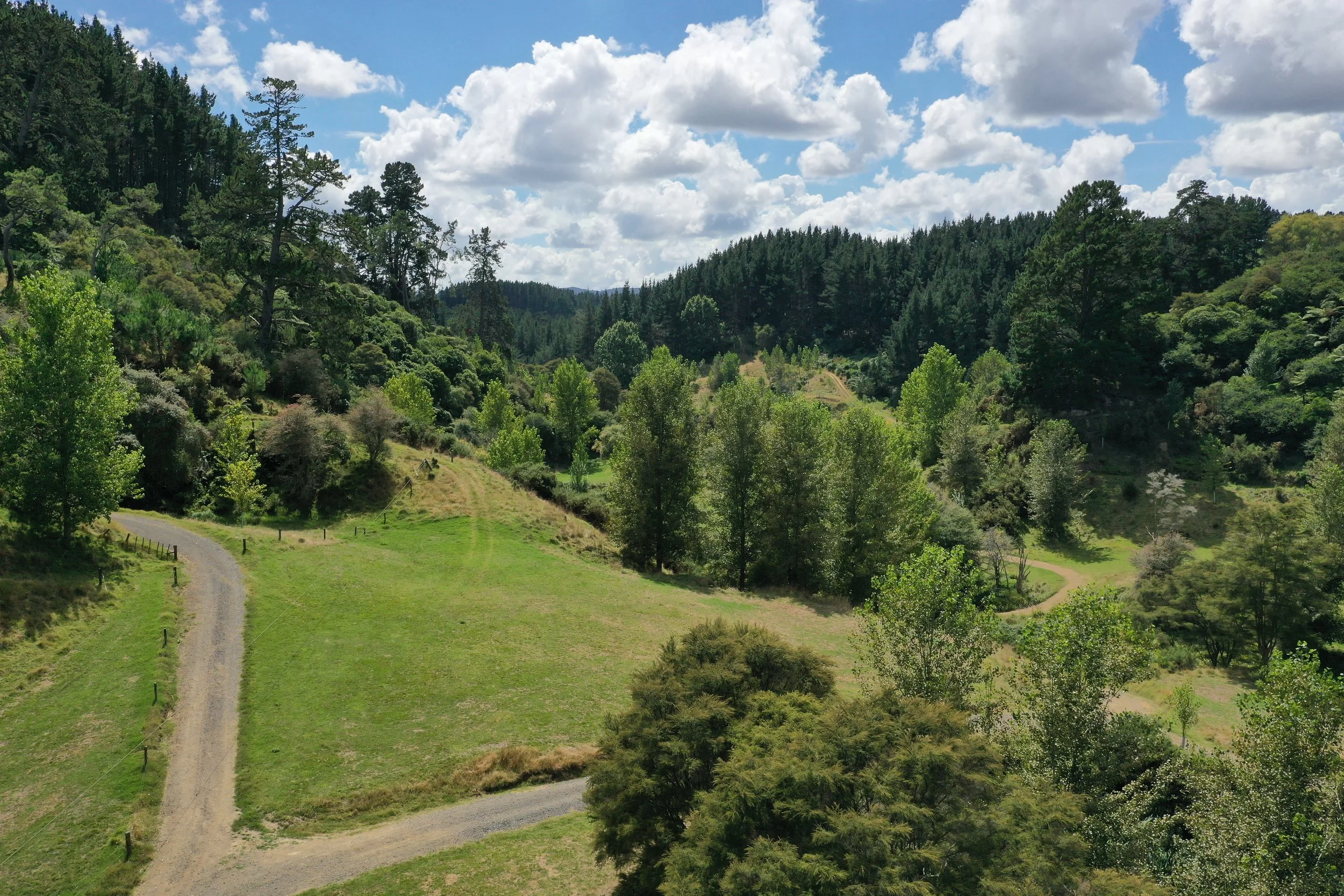 Camp Mana — Mana Services