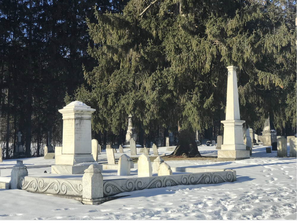 West Cemetery — Henry Sheldon Museum