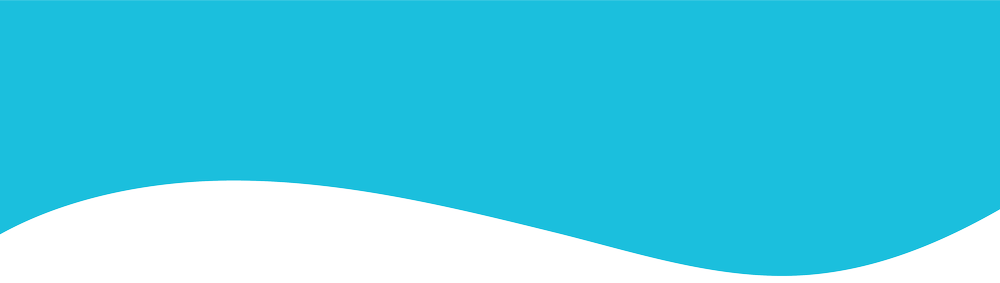 Merch — Bleni Blends