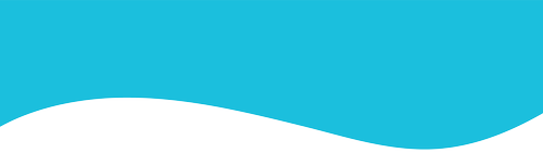 Merch — Bleni Blends