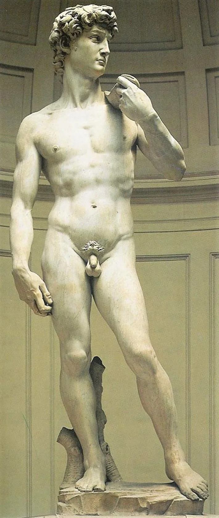 Michelangelo en de neus van David — FIREFIANDRE