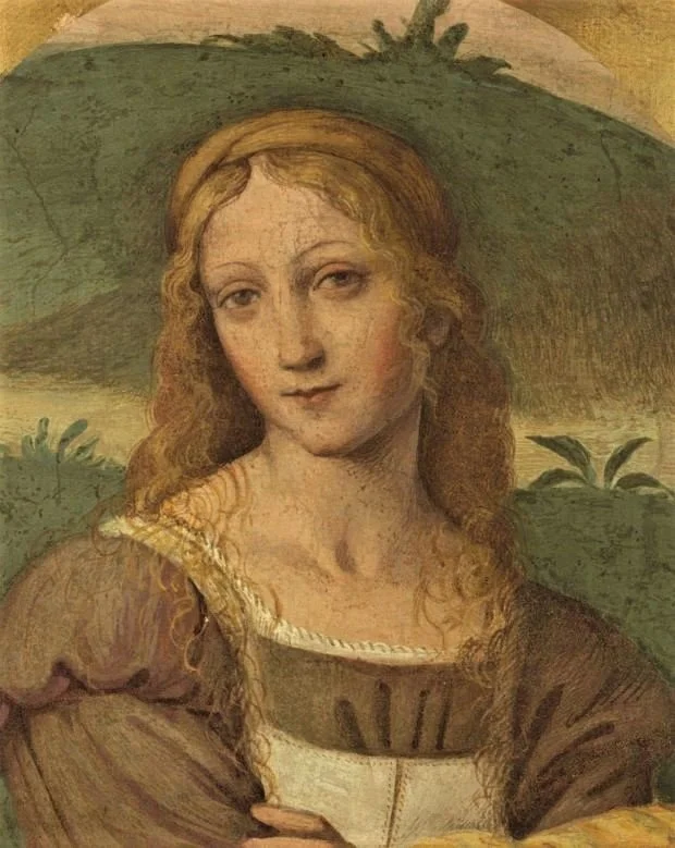 Alessandro de' Medici's wanbeleid en wangedrag — FIREFIANDRE