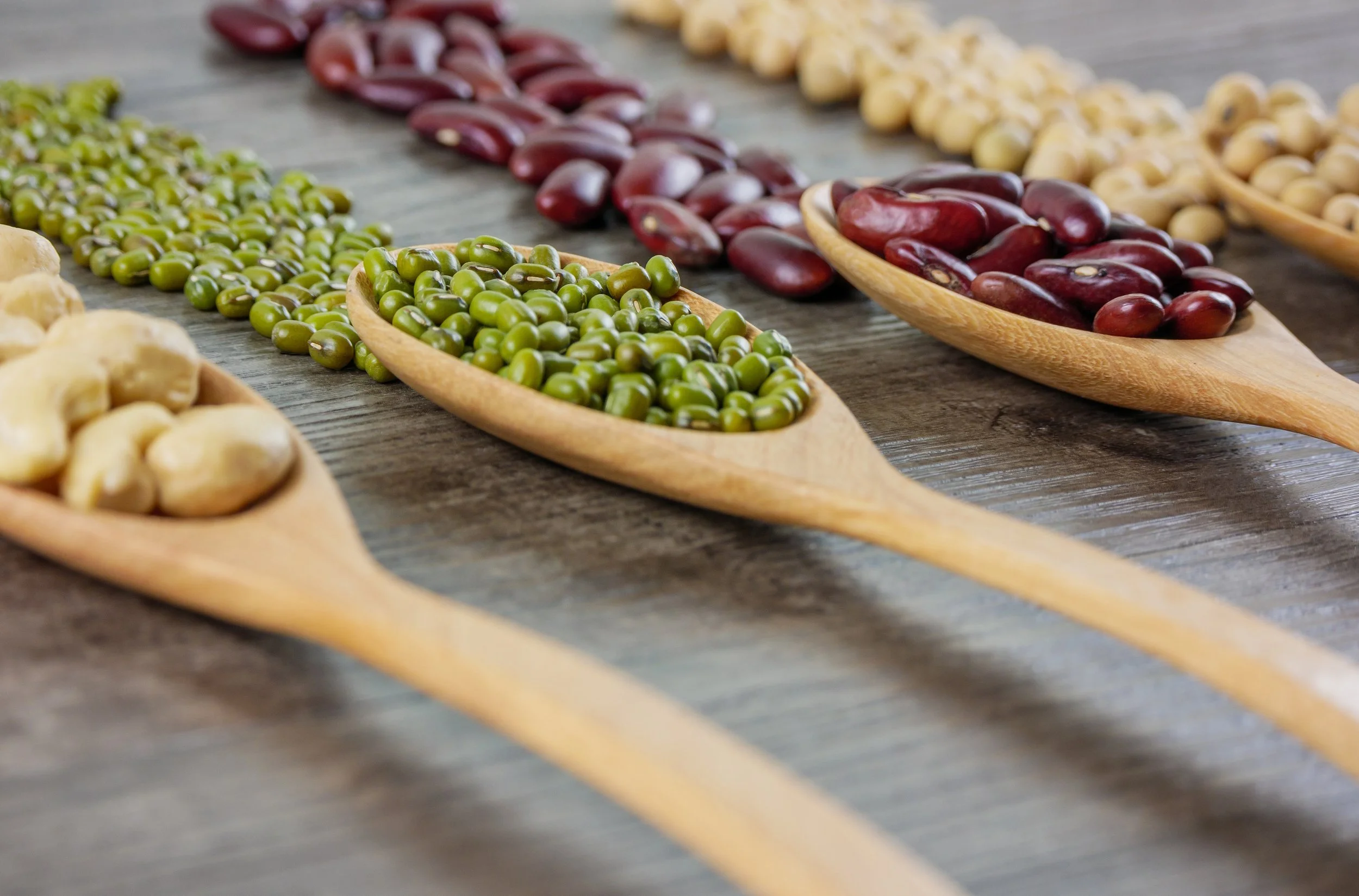 Ayurveda Scheduling — Zen Squirrel