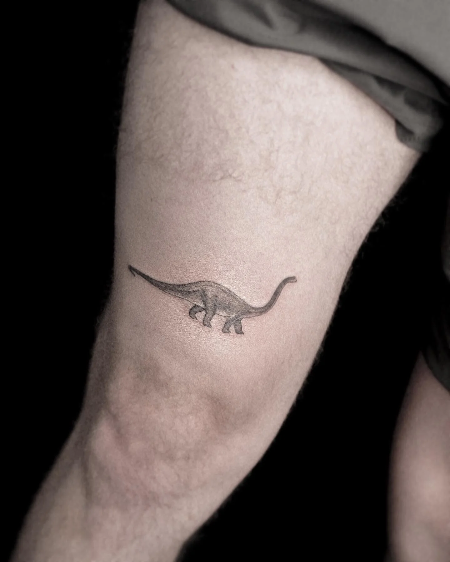 Apatosaurus Tattoo