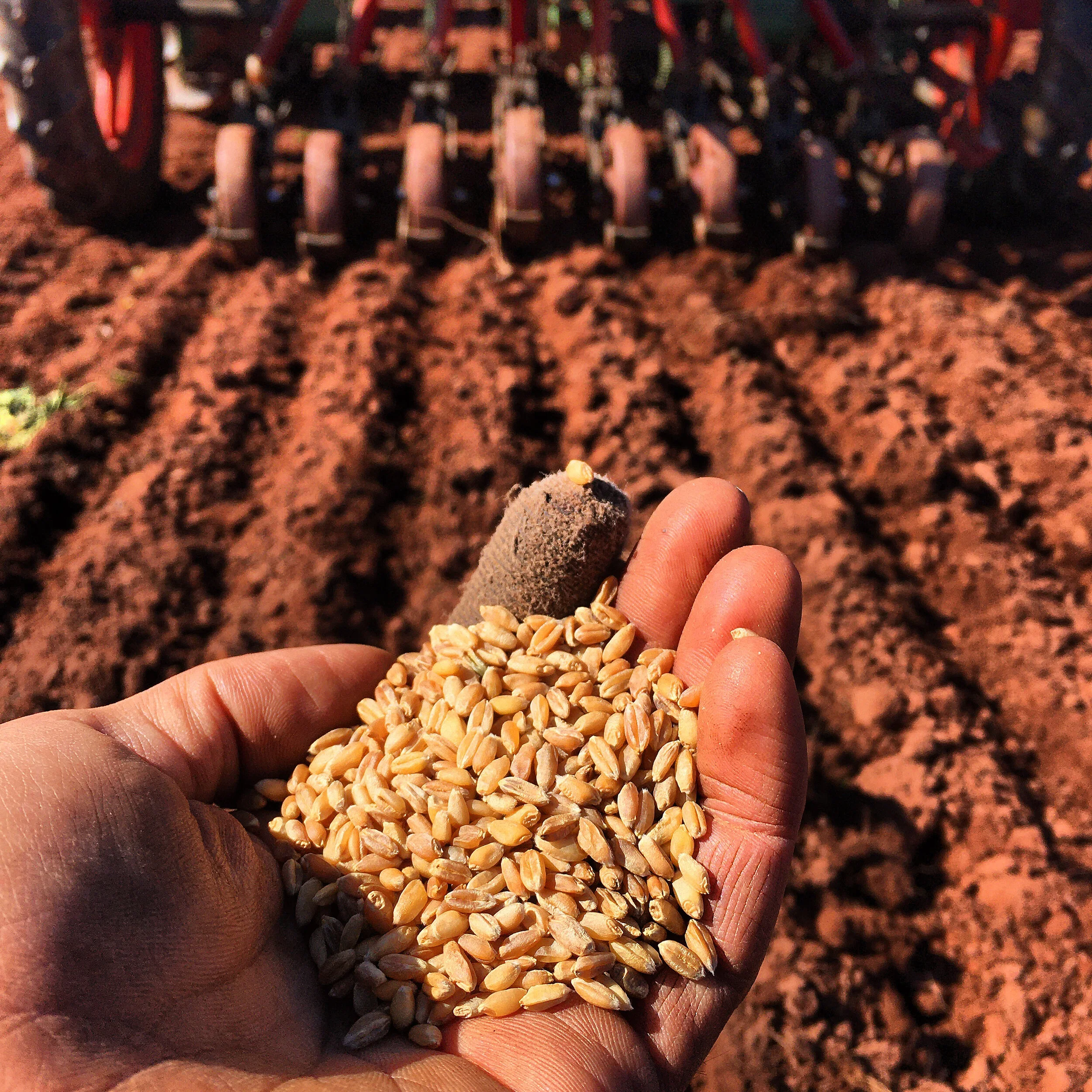 Produce — Gothelney Farm