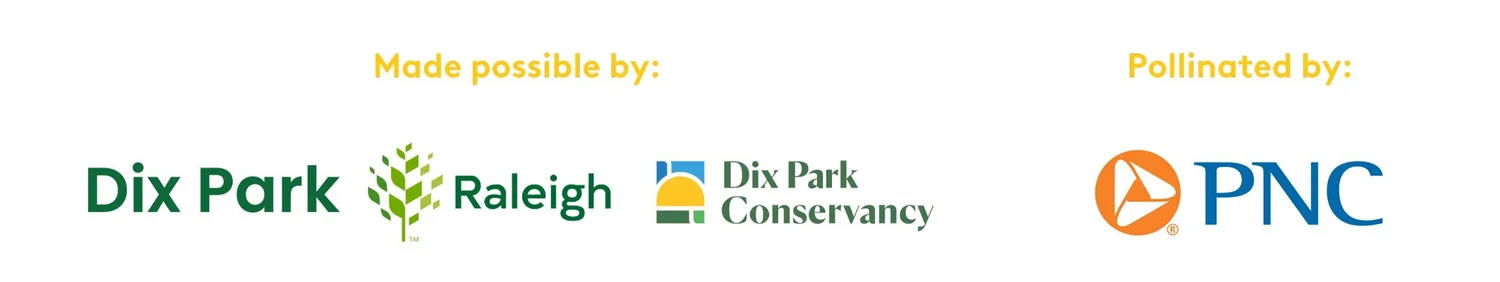 Plant Your Own Sunflower Patch | Dix Park Conservancy
