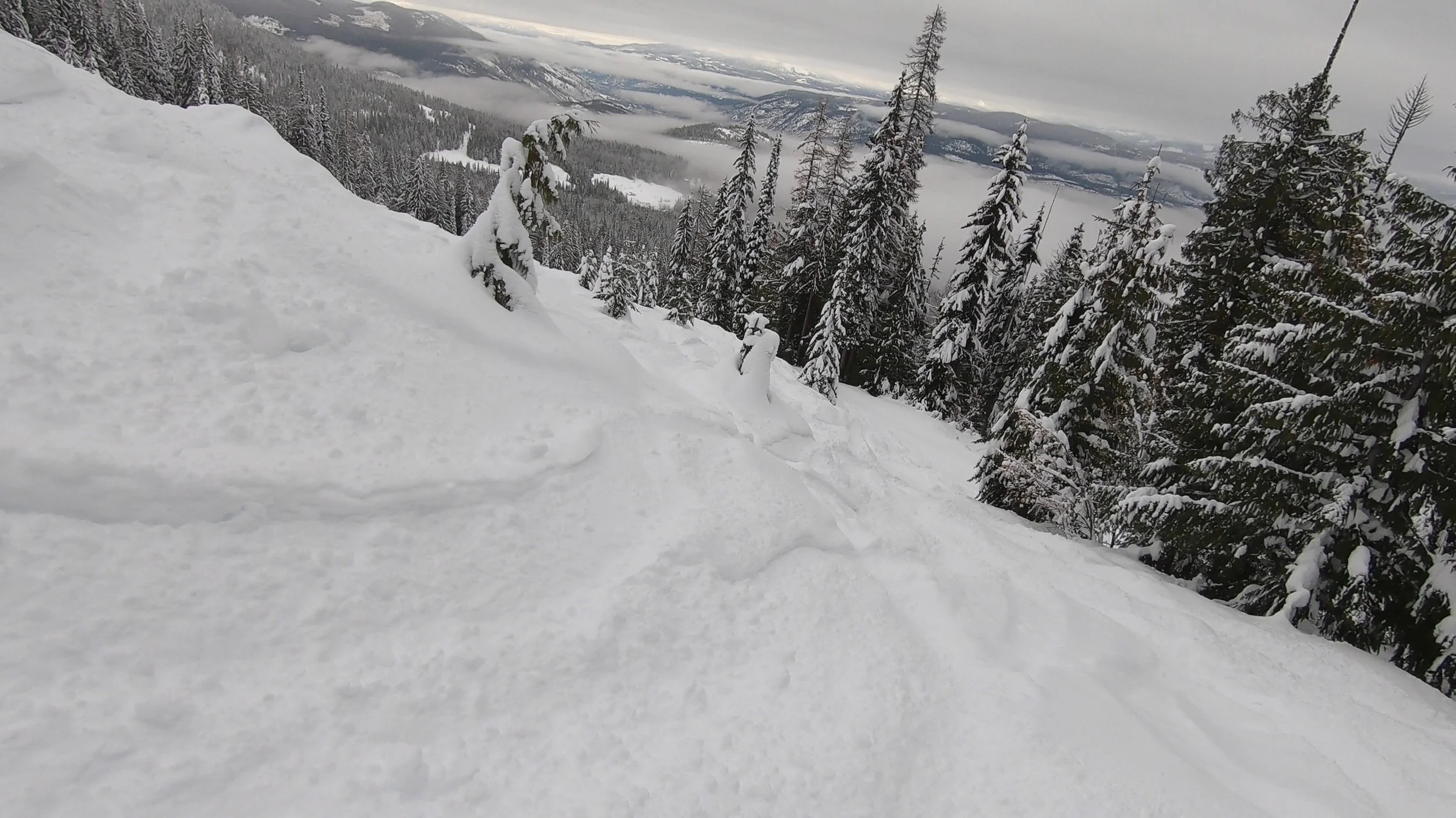 Red Mountain Ski Resort Review | British Columbia — PeakRankings