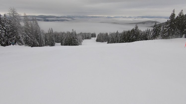 Red Mountain Ski Resort Review | British Columbia — PeakRankings