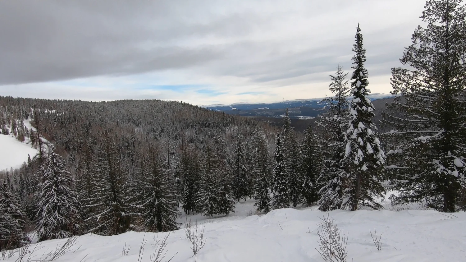 Silver Star Ski Resort | British Columbia — PeakRankings