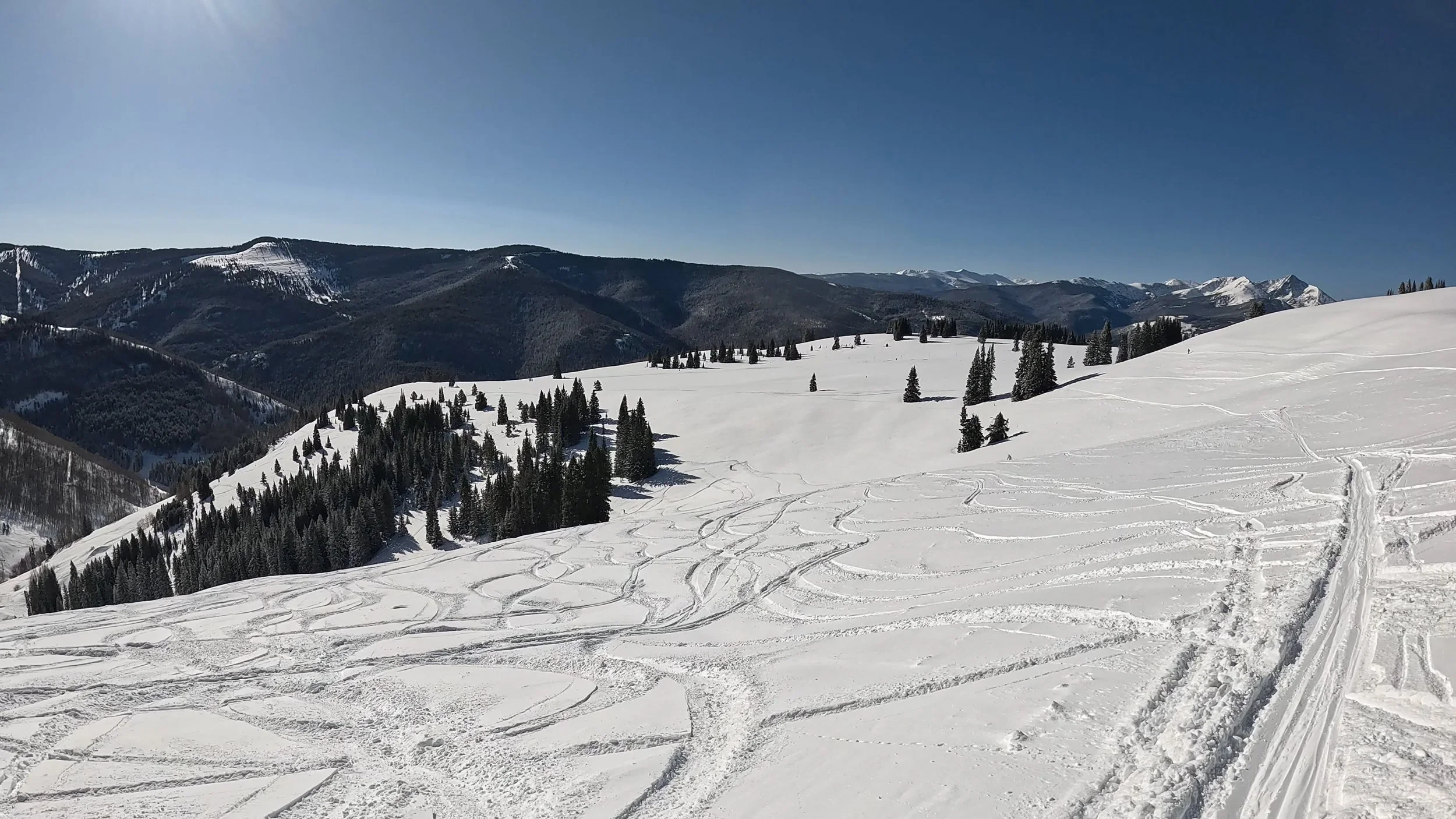 Vail Back Bowls: A Comprehensive Overview — PeakRankings