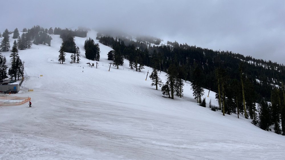 Mount Ashland Ski Area Review | Oregon — PeakRankings