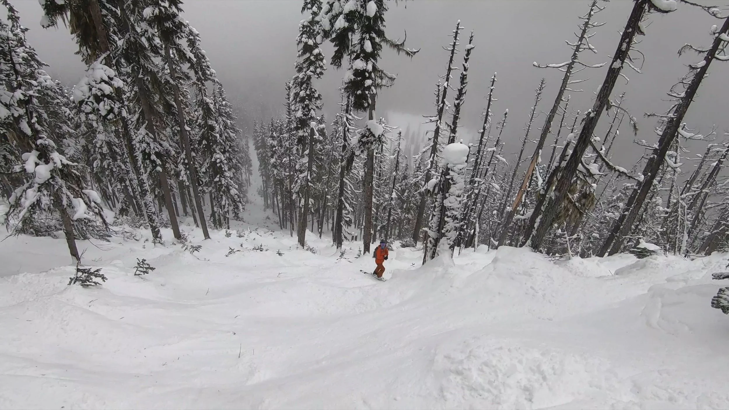 Whistler Blackcomb Ski Resort Review | British Columbia — PeakRankings