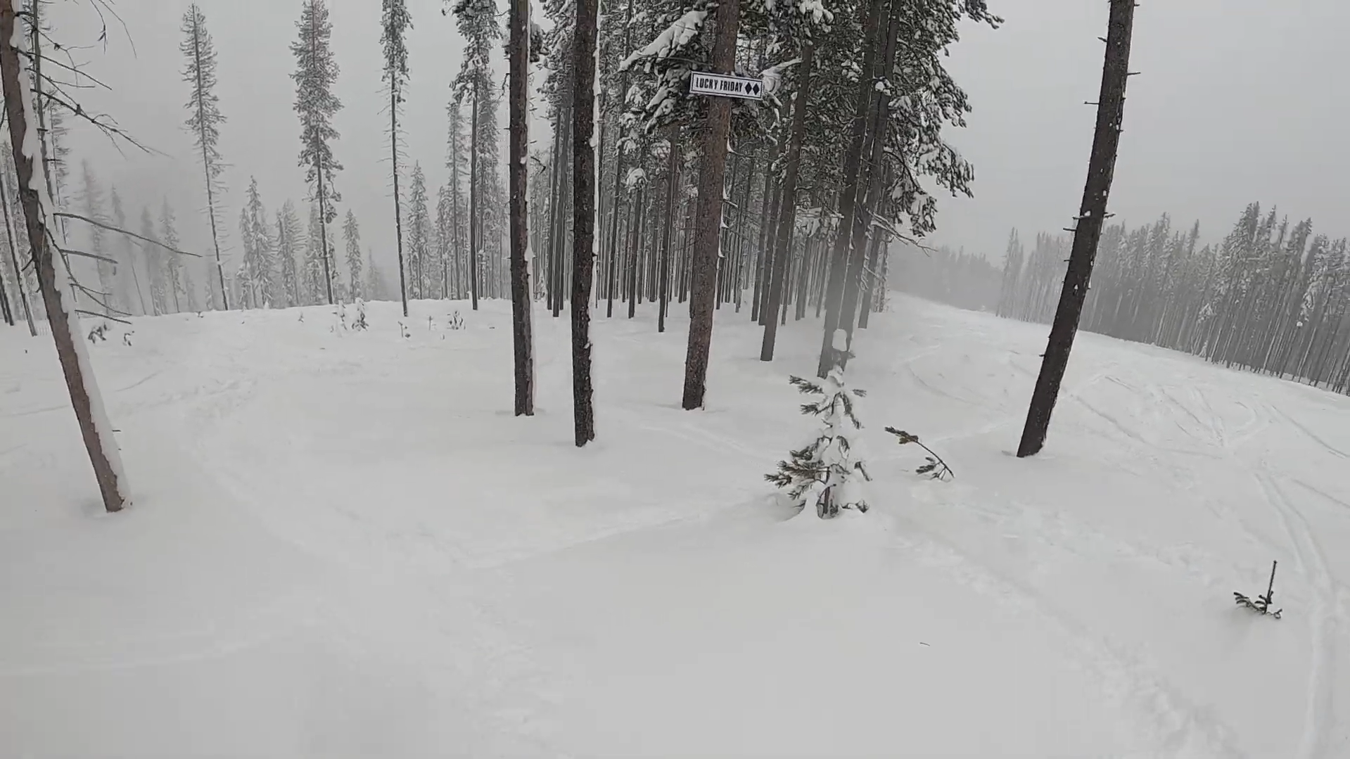 Lookout Pass Ski Area Review | Idaho / Montana — PeakRankings