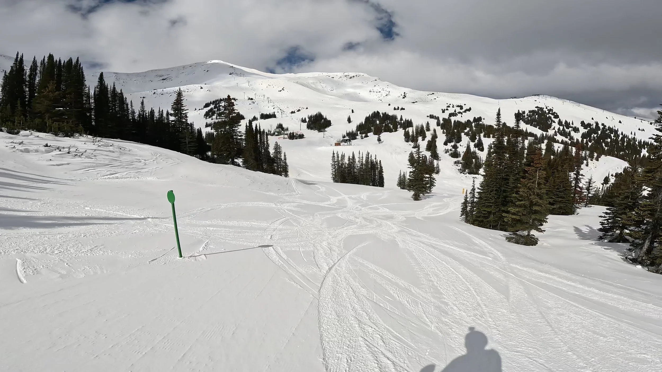 Marmot Basin Ski Area Review | Alberta — PeakRankings