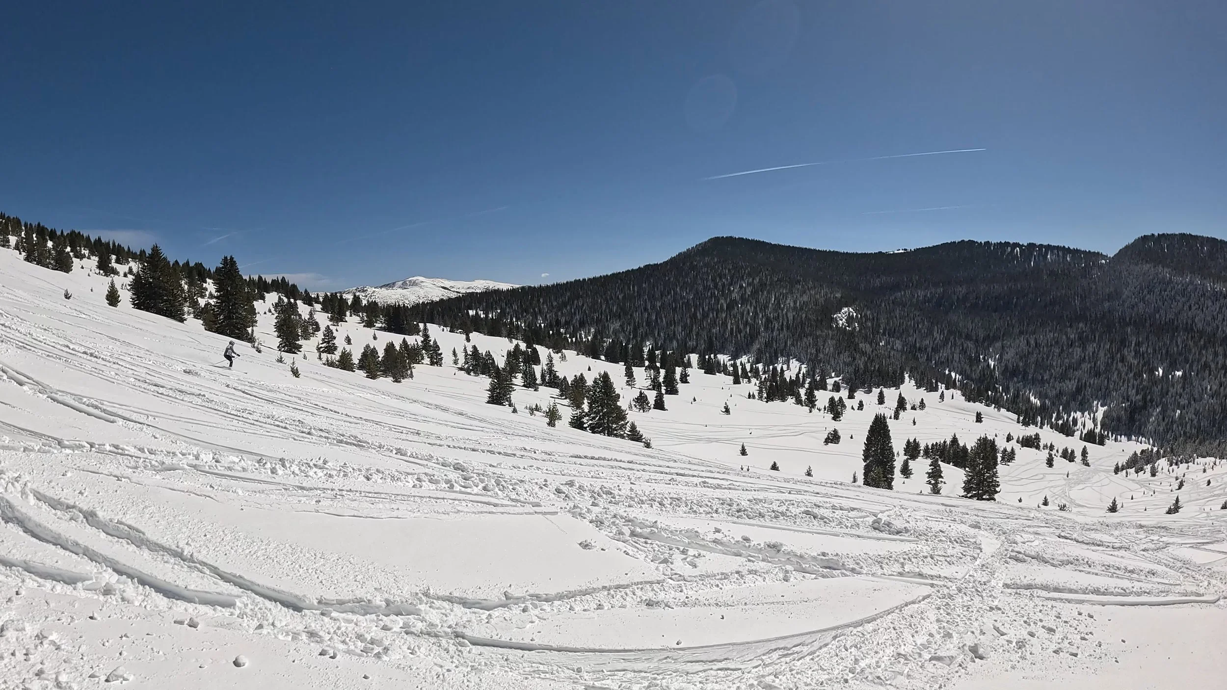 Vail Back Bowls: A Comprehensive Overview — PeakRankings