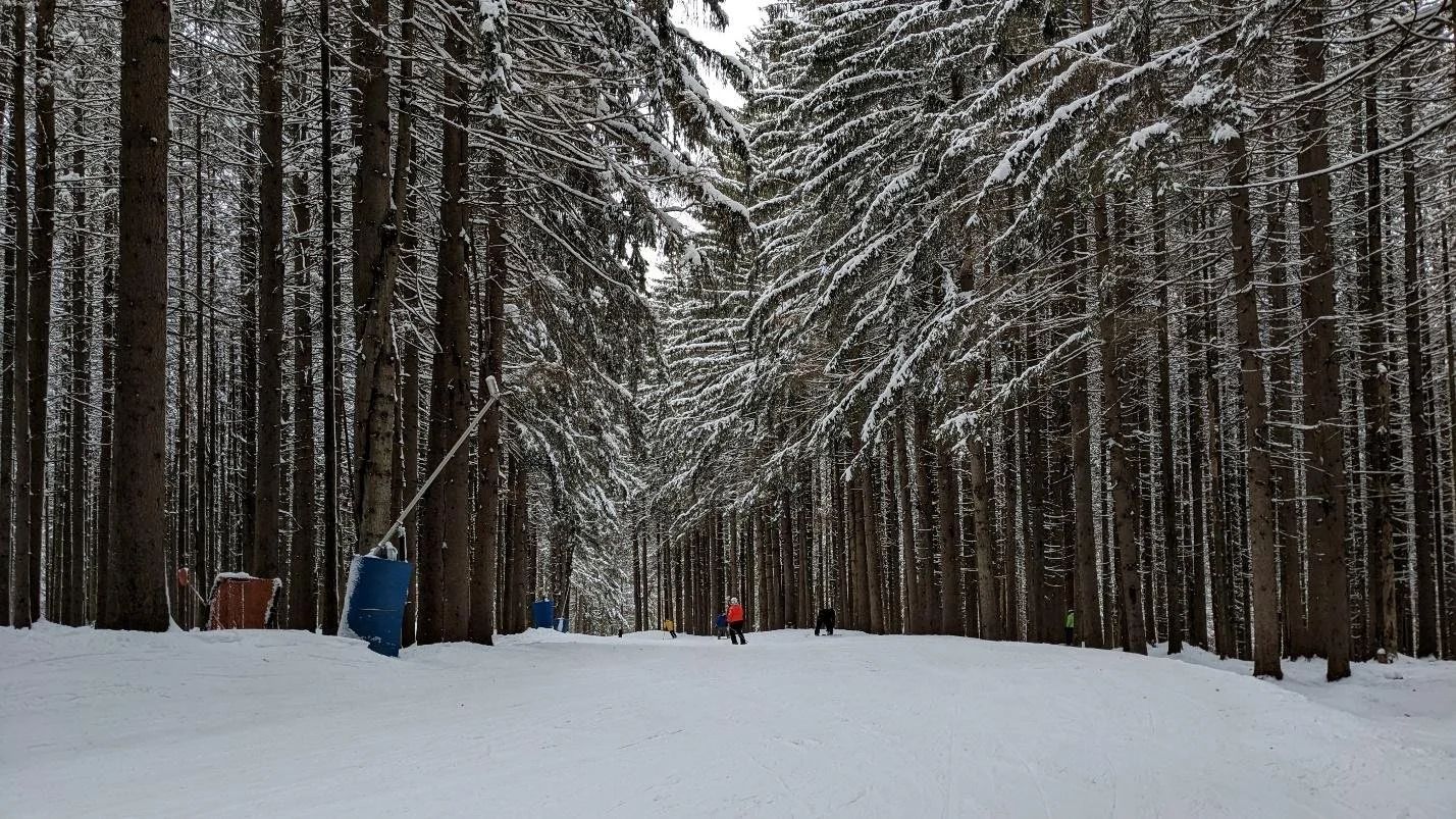 Holiday Valley Ski Resort Review | New York — PeakRankings