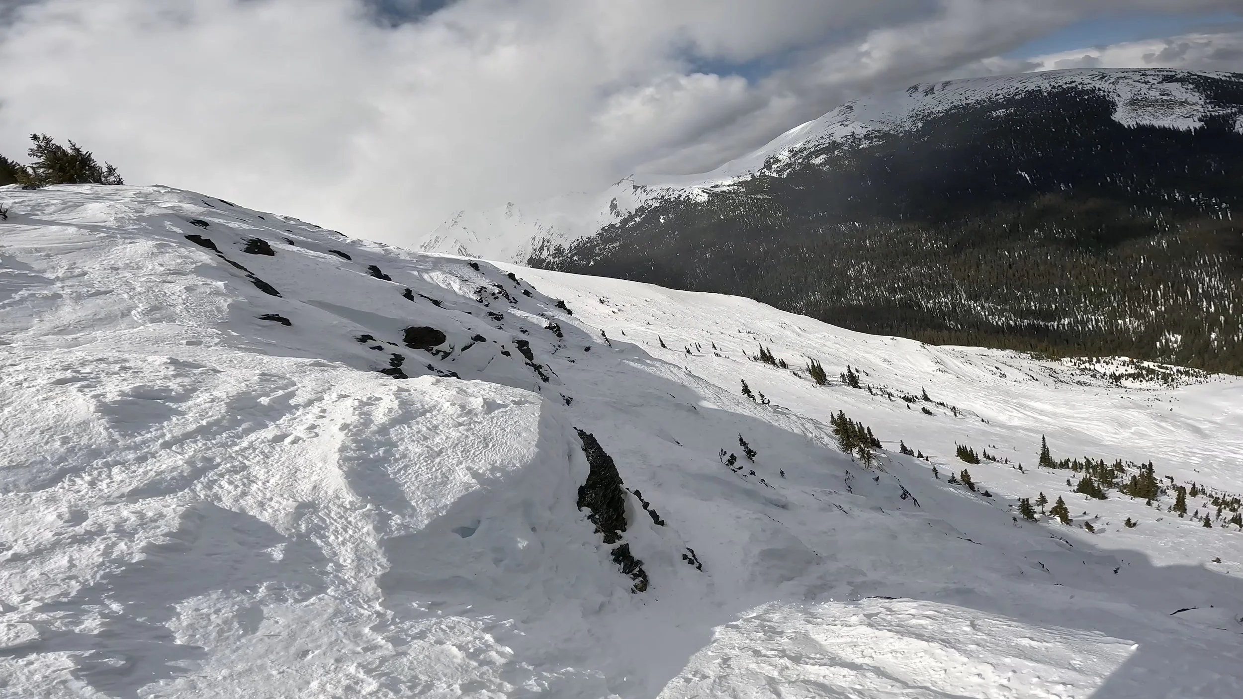 Marmot Basin Ski Area Review | Alberta — PeakRankings