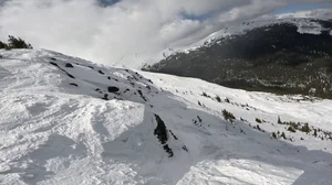 Marmot Basin Ski Area Review | Alberta — PeakRankings