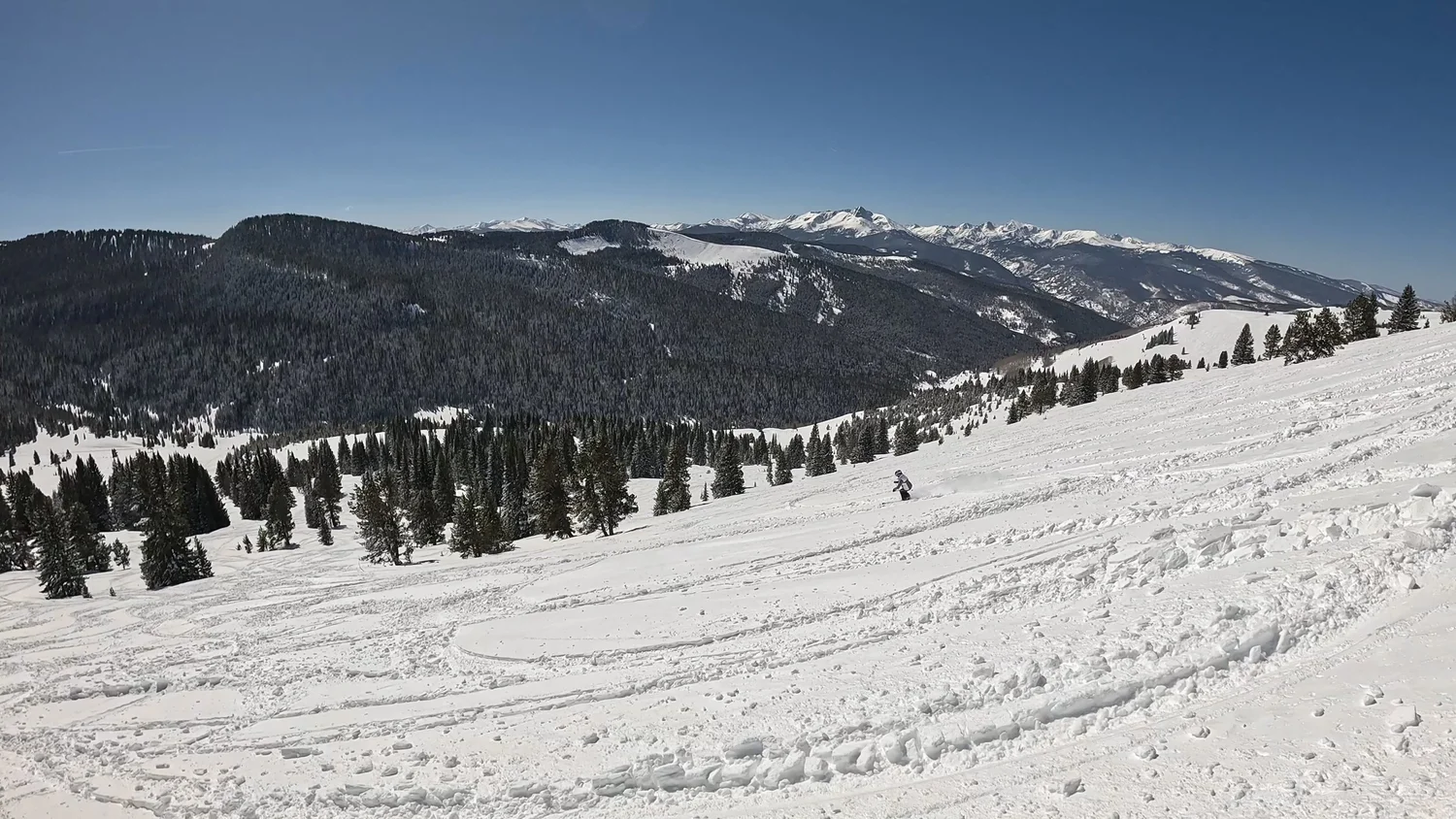 Vail Back Bowls: A Comprehensive Overview — PeakRankings