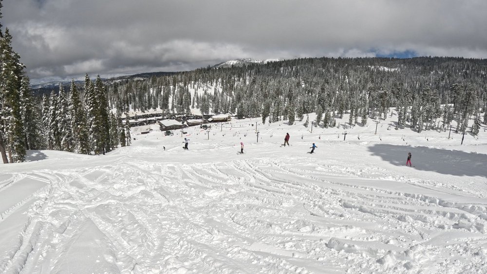 Dodge Ridge Ski Area Review | California — PeakRankings