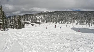 Dodge Ridge Ski Area Review | California — PeakRankings