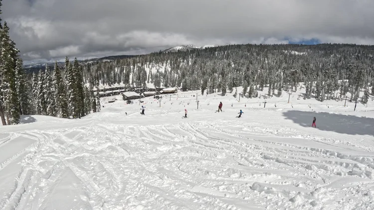 Dodge Ridge Ski Area Review | California — PeakRankings