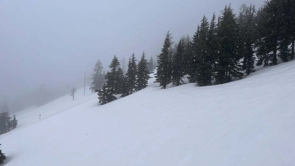 Mount Ashland Ski Area Review | Oregon — PeakRankings