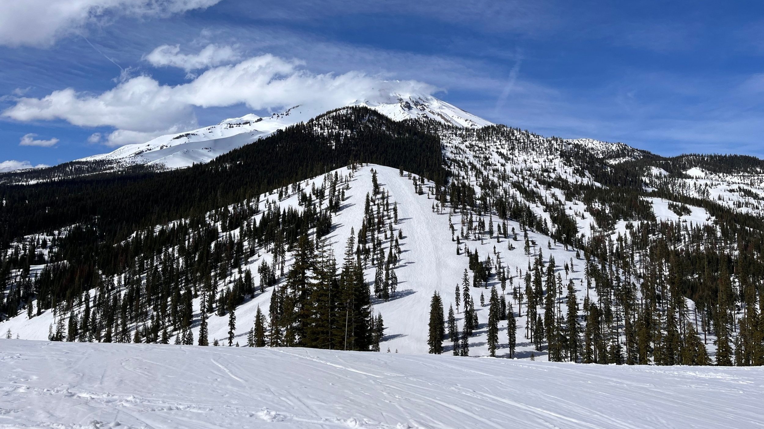 Mount Shasta Ski Park Review | California — PeakRankings