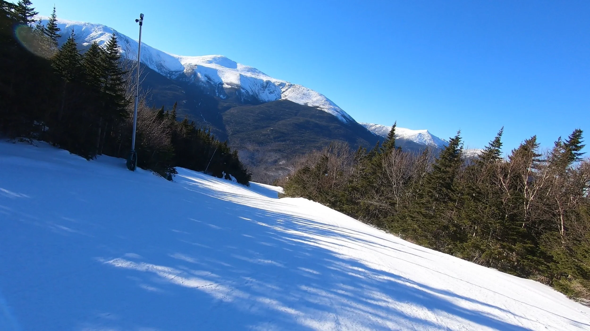 Wildcat Ski Area Review | New Hampshire — PeakRankings