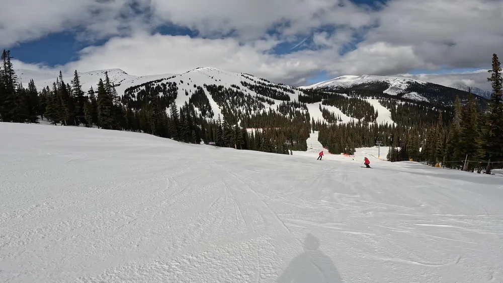 Marmot Basin Ski Area Review | Alberta — PeakRankings