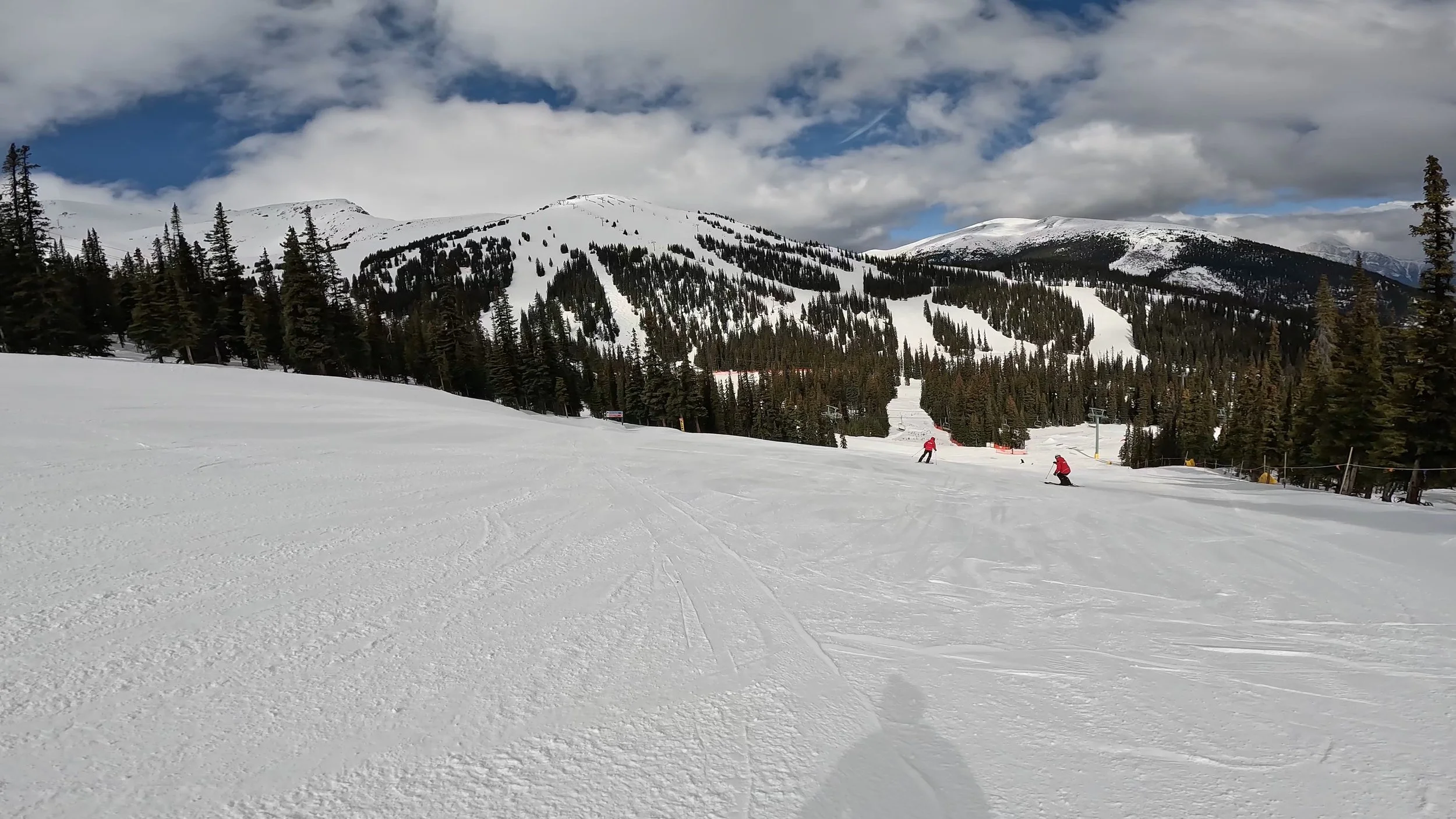 Marmot Basin Ski Area Review | Alberta — PeakRankings