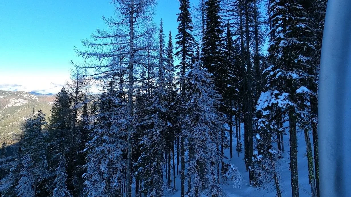 49 Degrees North Ski Resort Review | Washington — PeakRankings