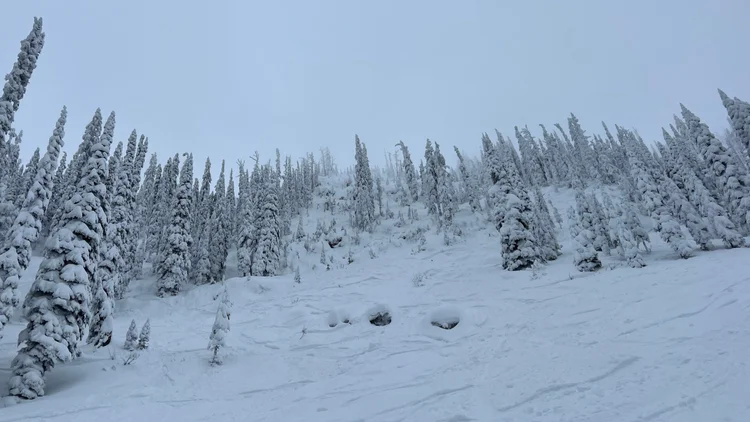Red Mountain Ski Resort Review | British Columbia — PeakRankings