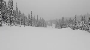 Whitefish Ski Resort Review | Montana — PeakRankings