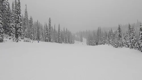 Whitefish Ski Resort Review | Montana — PeakRankings