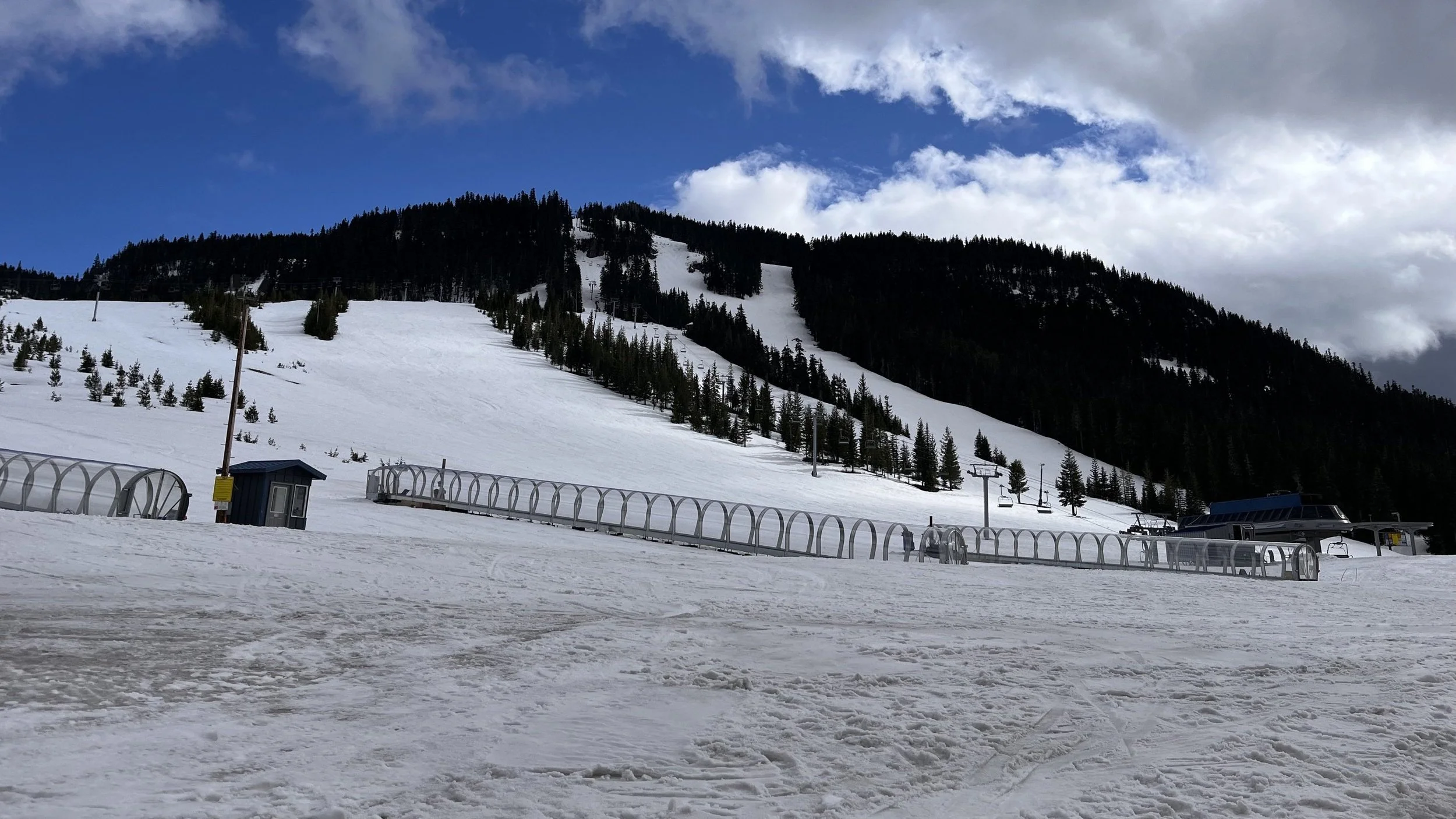 White Pass Ski Resort Review | Washington — PeakRankings