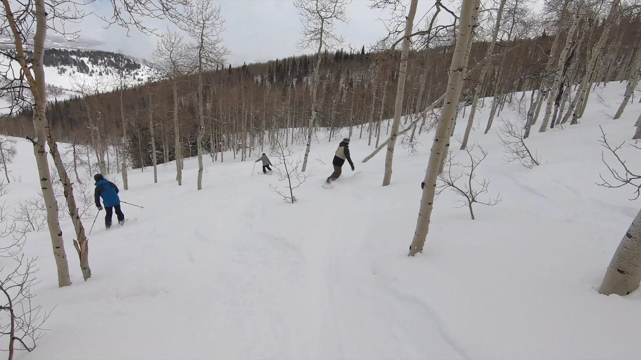 Best Tree Skiing Resorts in North America — PeakRankings