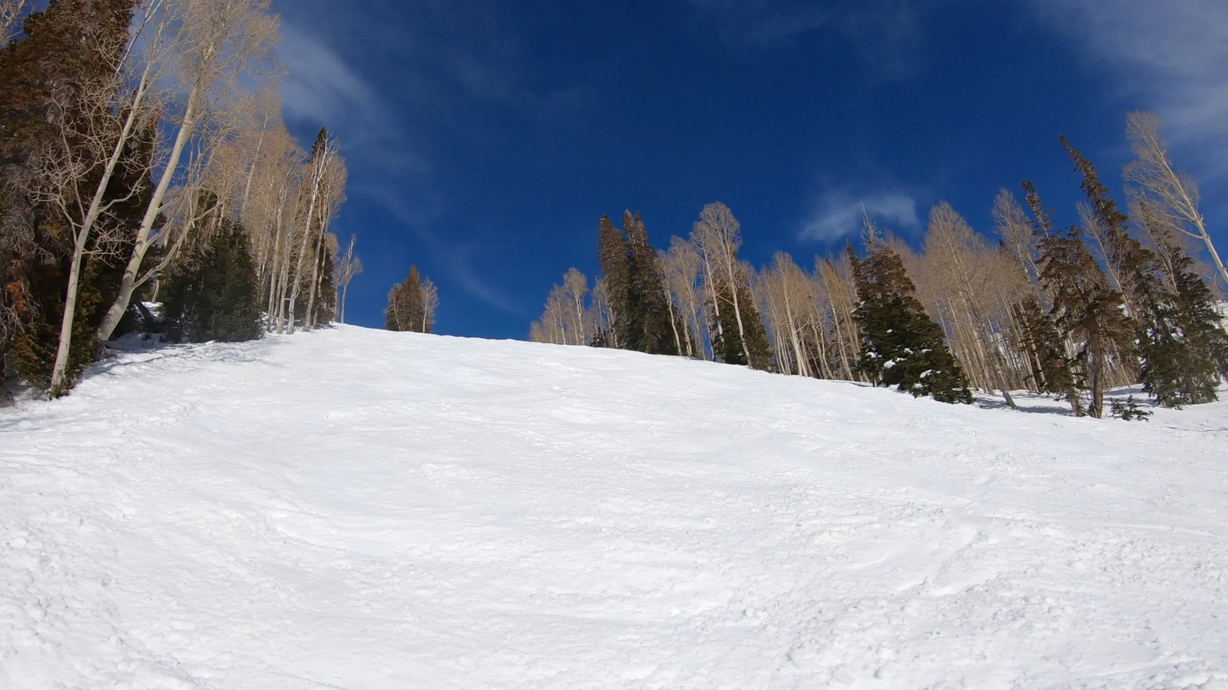 Best Tree Skiing Resorts in North America — PeakRankings