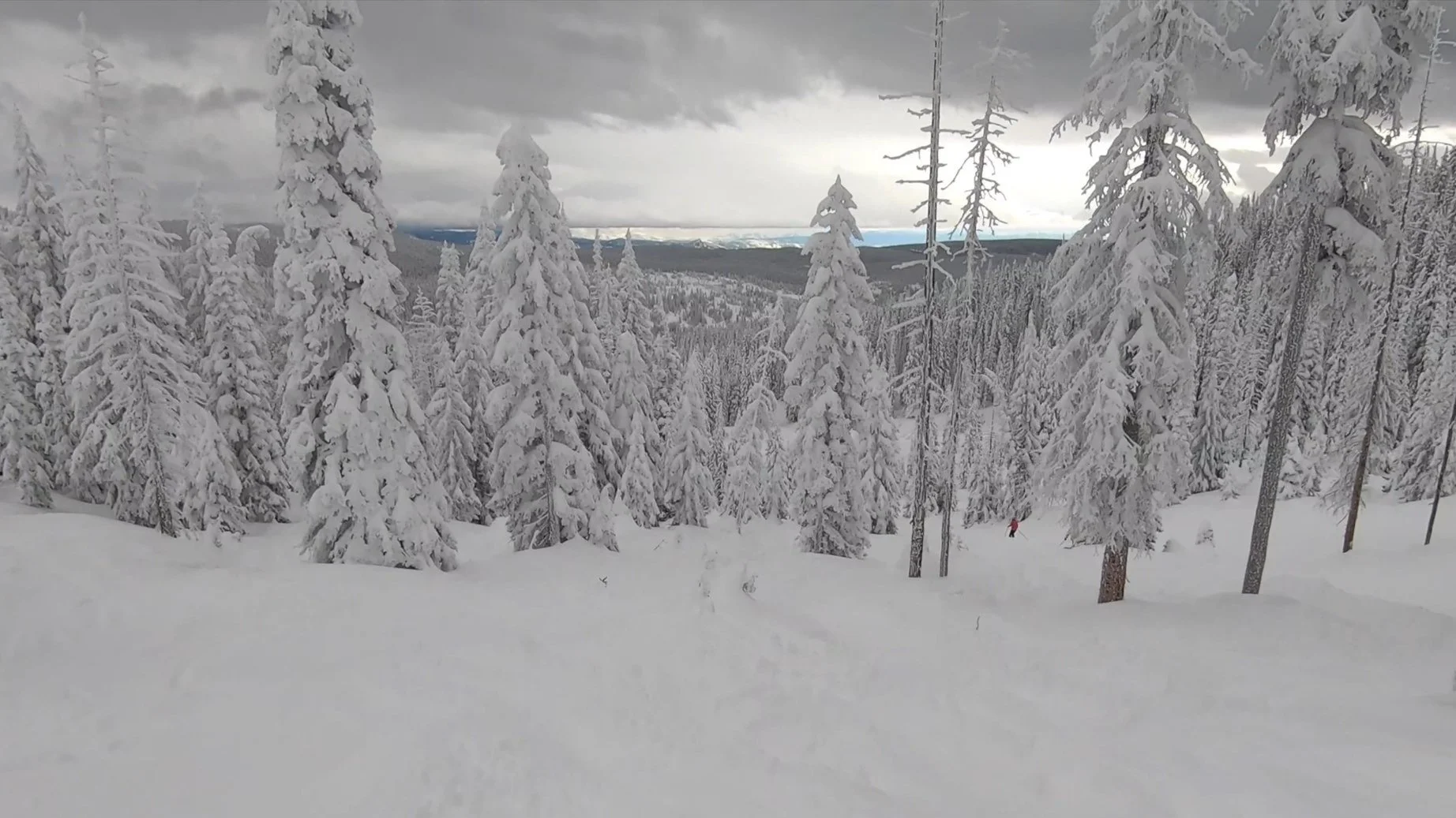 Best Tree Skiing Resorts in North America — PeakRankings