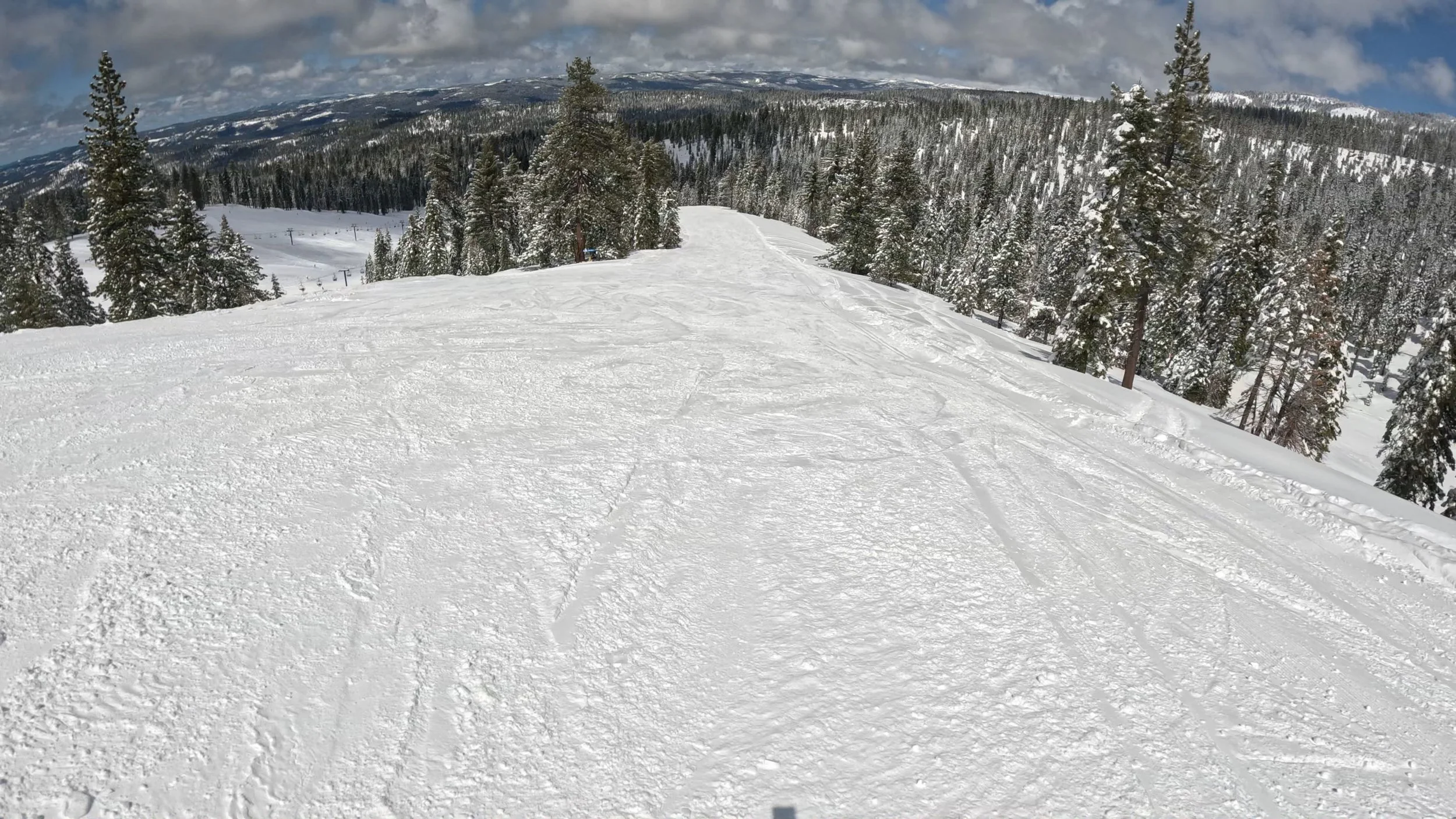 Dodge Ridge Ski Area Review | California — PeakRankings