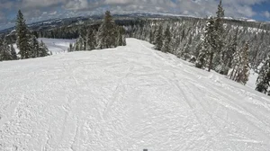 Dodge Ridge Ski Area Review | California — PeakRankings