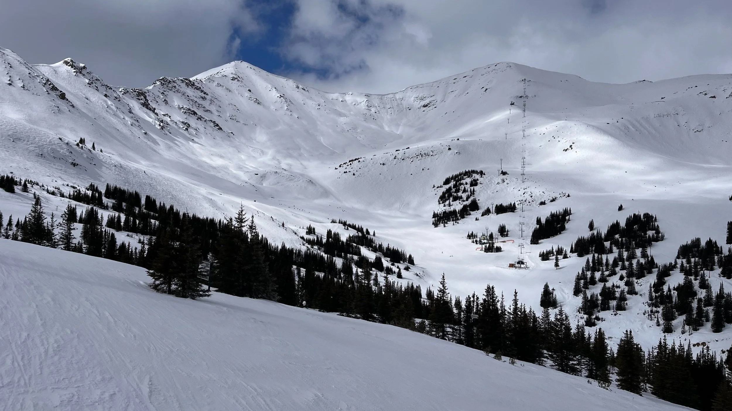 Marmot Basin Ski Area Review | Alberta — PeakRankings