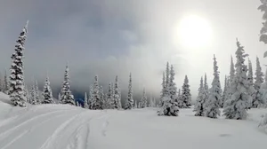 Castle Mountain Ski Area Review | Alberta — PeakRankings