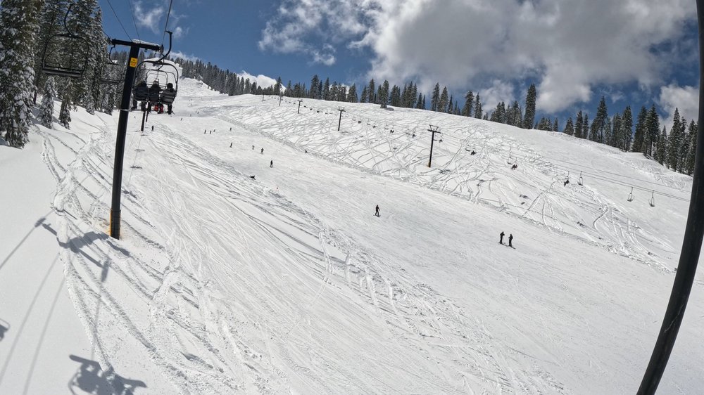 Dodge Ridge Ski Area Review | California — PeakRankings