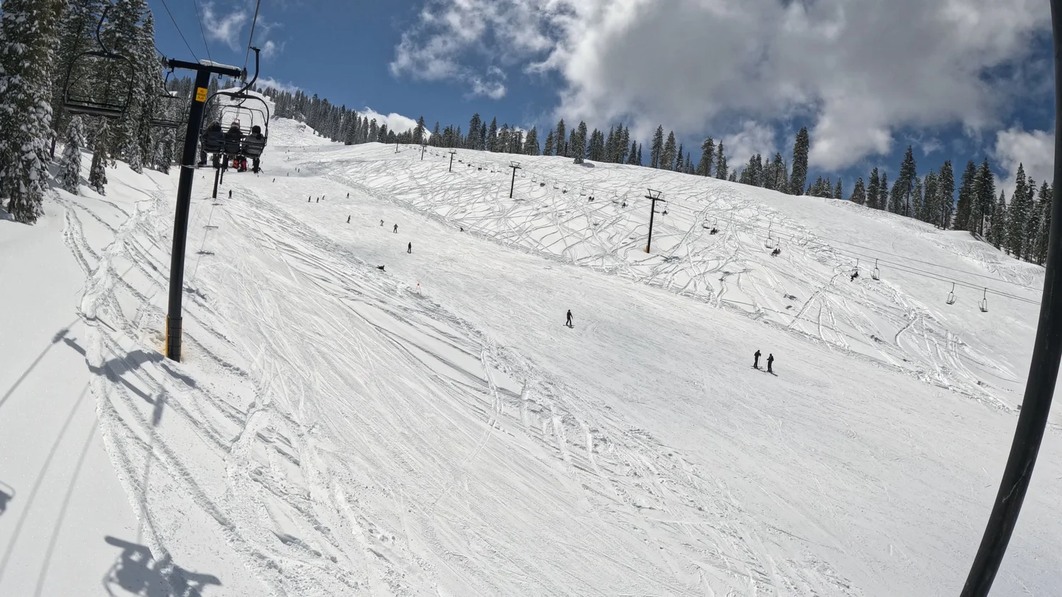 Dodge Ridge Ski Area Review | California — PeakRankings