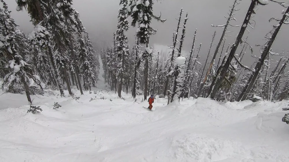 Best Tree Skiing Resorts in North America — PeakRankings