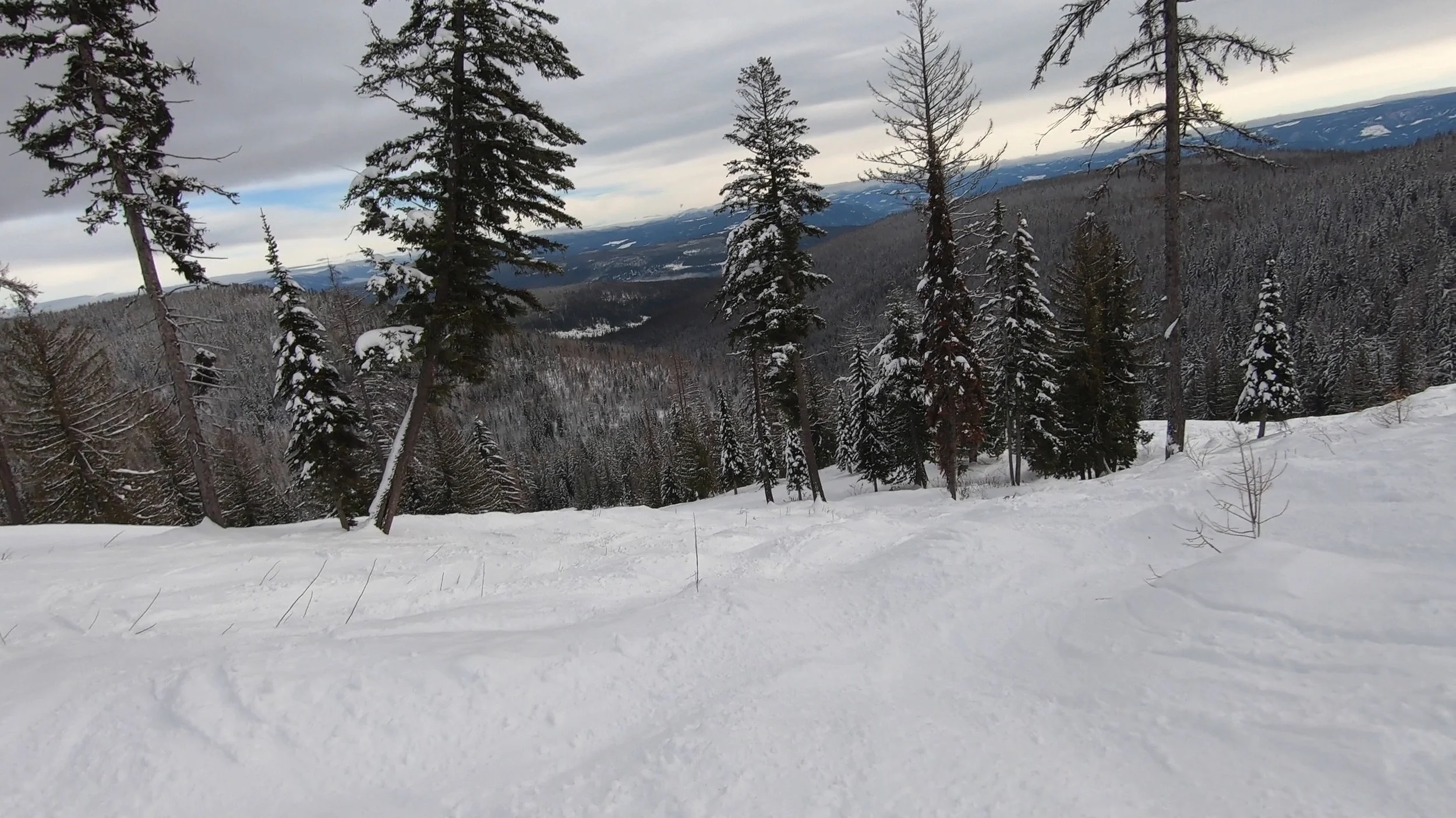 Silver Star Ski Resort | British Columbia — PeakRankings