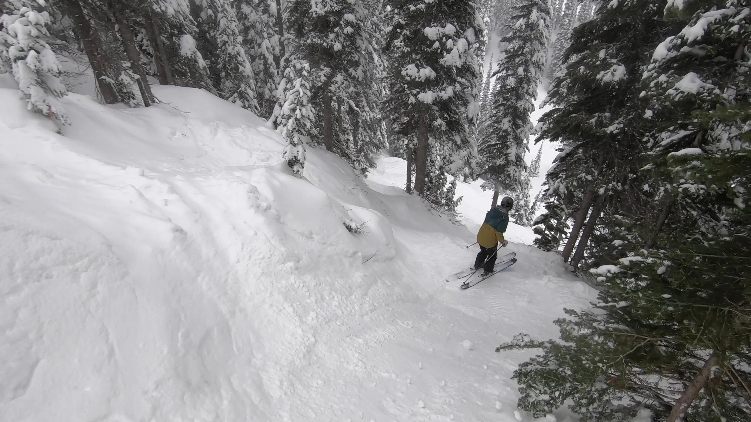 Best Tree Skiing Resorts in North America — PeakRankings