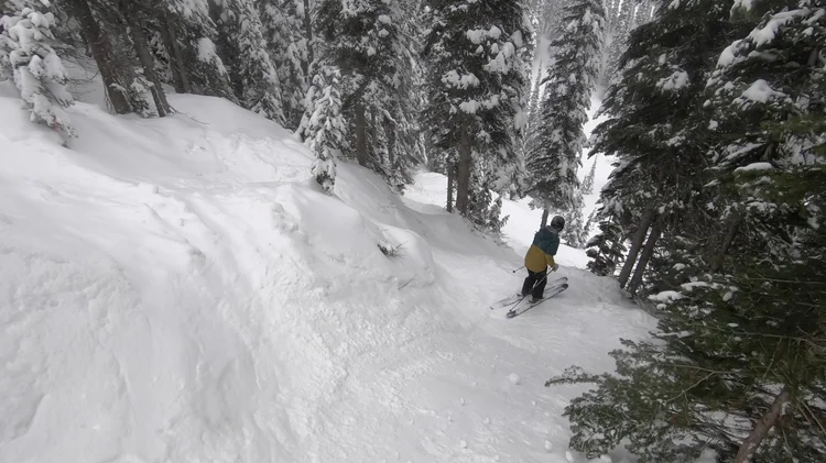 Whitefish Ski Resort Review | Montana — PeakRankings