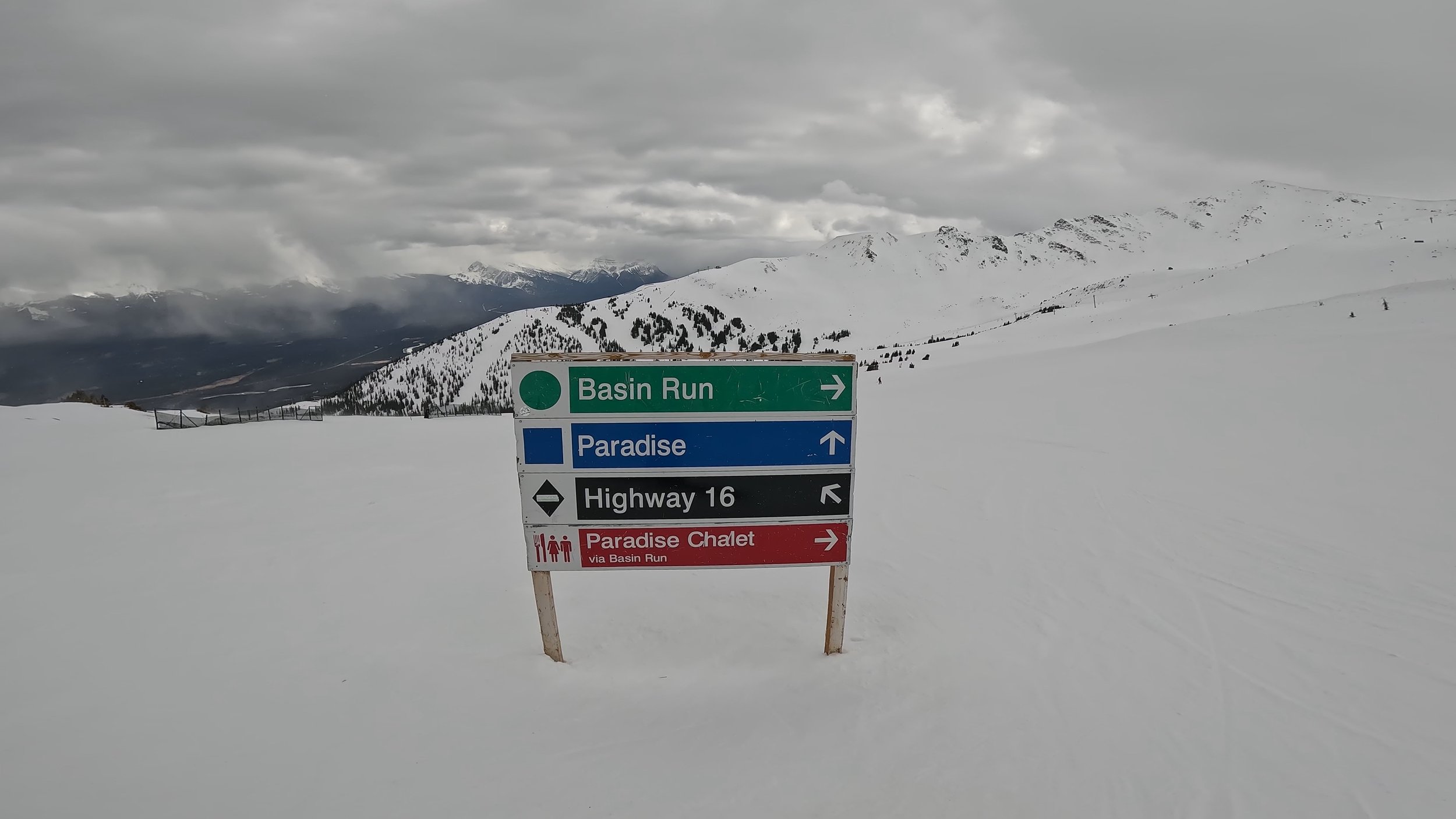 Marmot Basin Ski Area Review | Alberta — PeakRankings